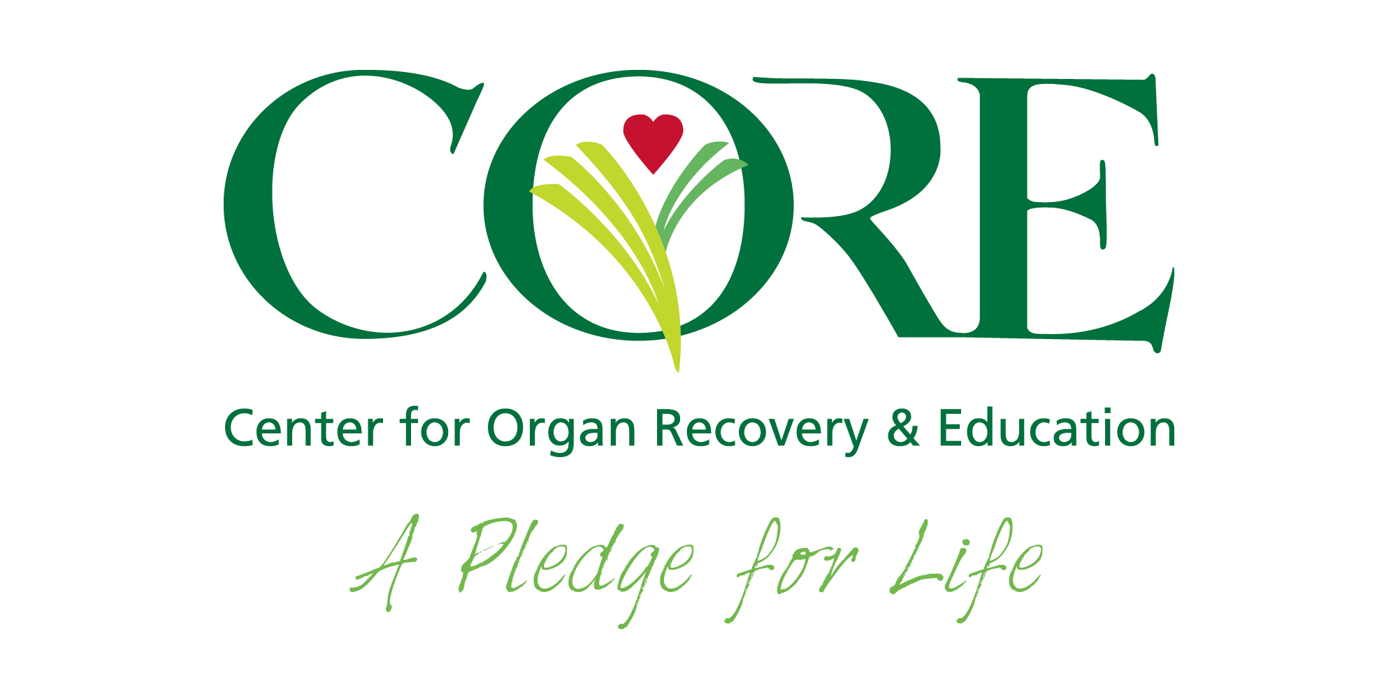 Center for Organ Recovery & Education | The Organ Donation and ...