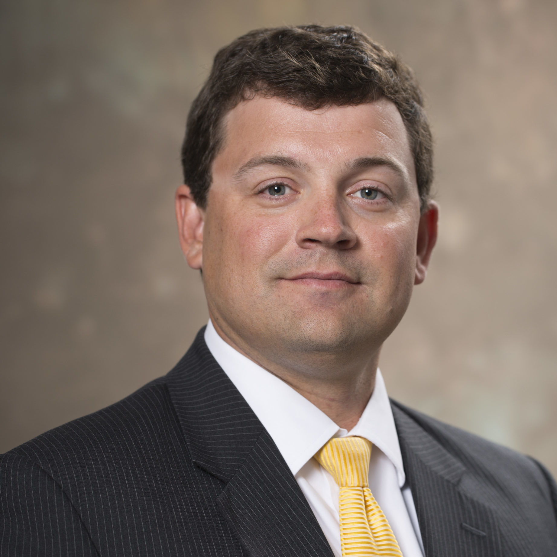 The Alliance Announces New Board Members for 2025, Introduces New ...