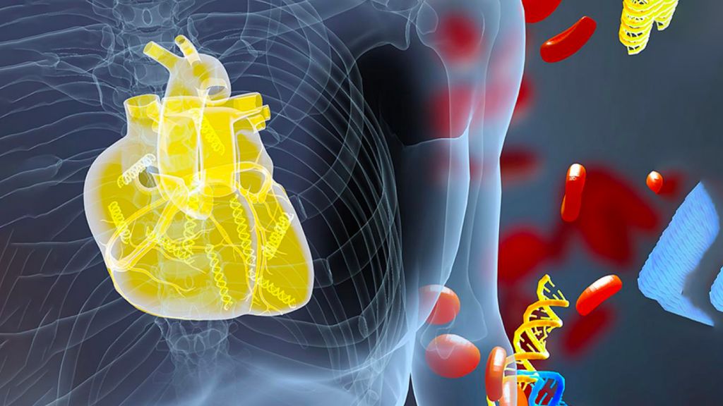 On-Demand Webinars | Advancement Series | CEPTC Credits