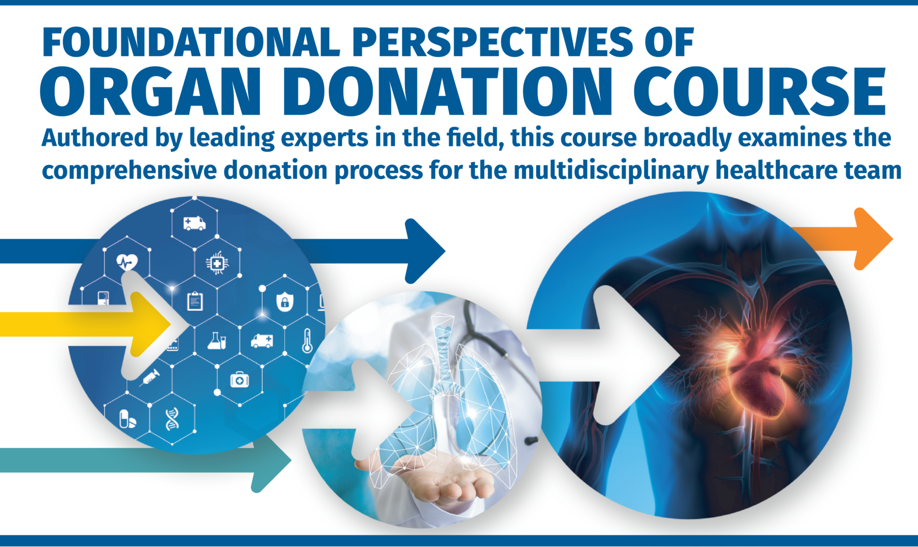 The Alliance Launches New On-Demand Learning Pathway for Foundational ...